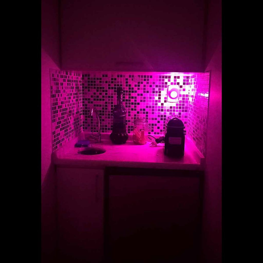 Lâmpada Rosa LED - Alcides Melhado Filho - Alcides Melhado Filho